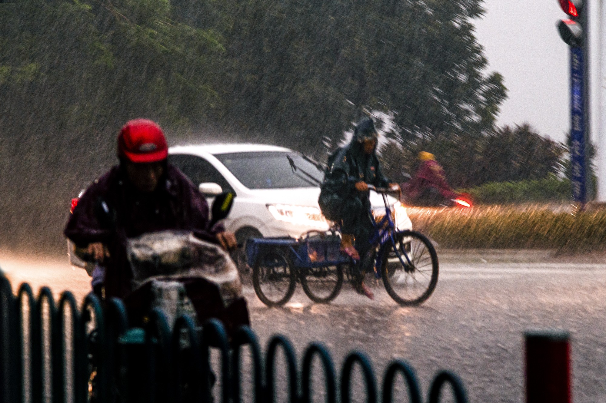 落雨纷纷 | 朦胧的色彩，潮湿的光影，从今有雨君须记